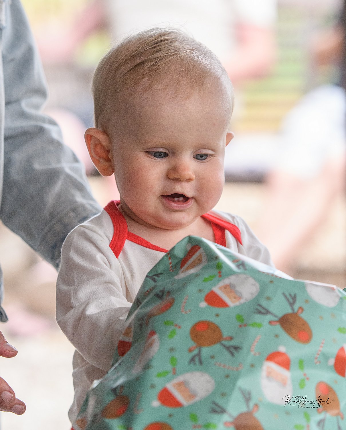 Grace, Asher & Puppies - Galleries - Private Shoots